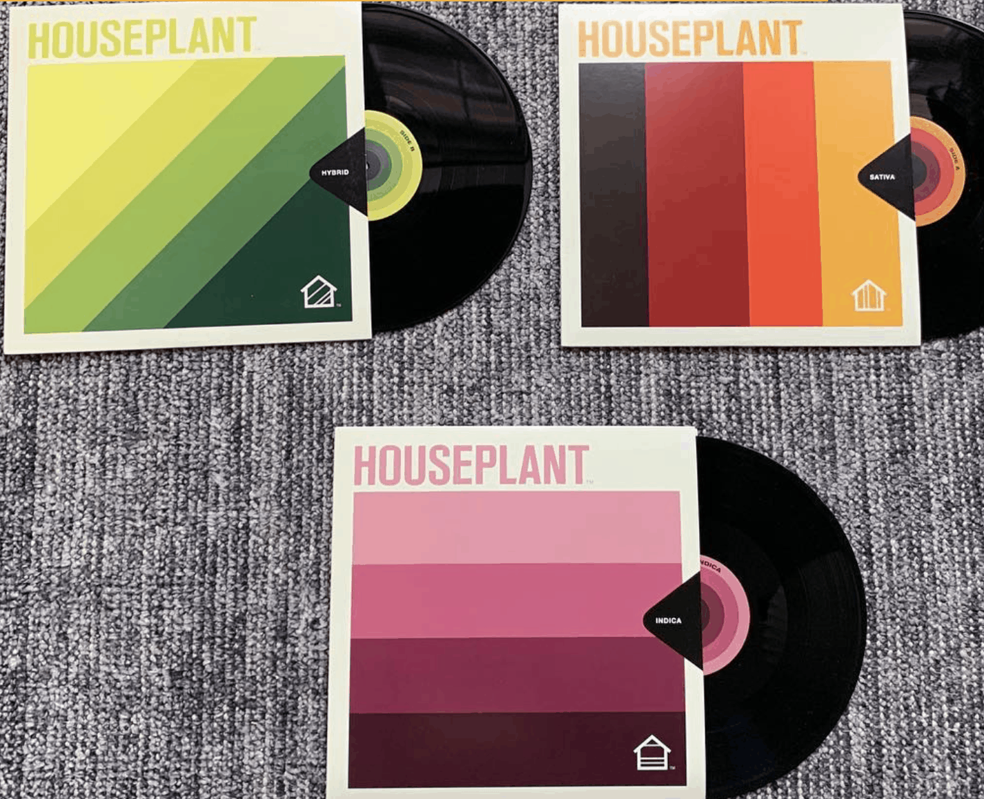 Seth Rogen is Launching a Marijuana Company - Filthy Lucre